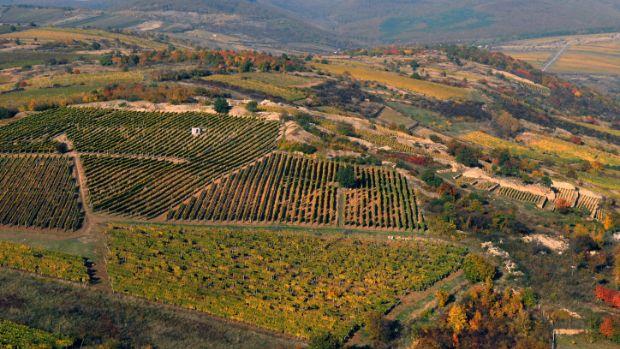 Szepsy Winery - Tokaj - - World's Best Vineyards Explore