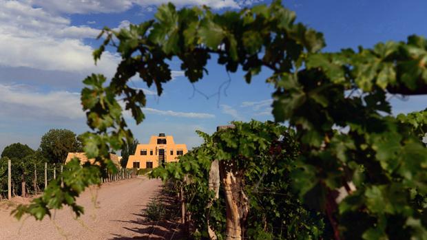 Catena Zapata - Mendoza - - World's Best Vineyards Explore