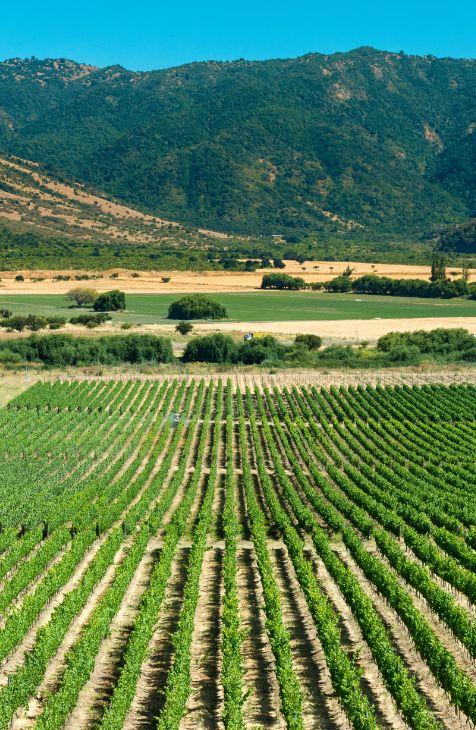 World's Best Vineyards | Explore