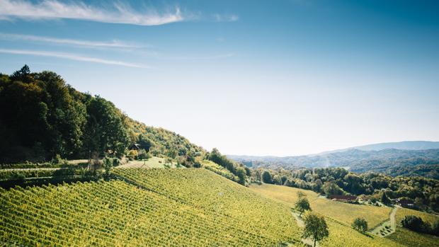 Weingut Tement - Südsteiermark - - World's Best Vineyards Explore
