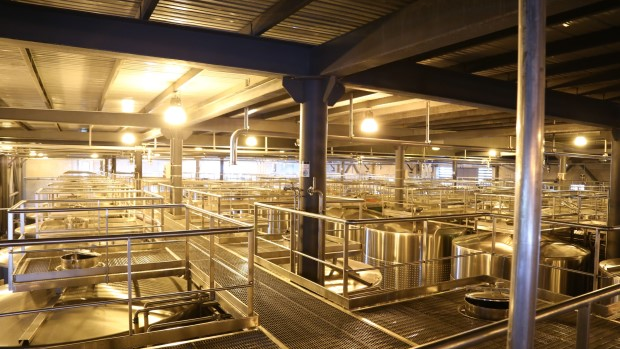 Bodegas Chandon - Mendoza - - World's Best Vineyards Explore