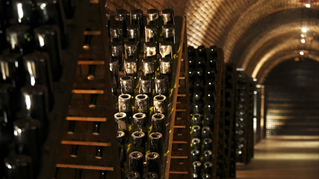 Bodegas Chandon - Mendoza - - World's Best Vineyards Explore