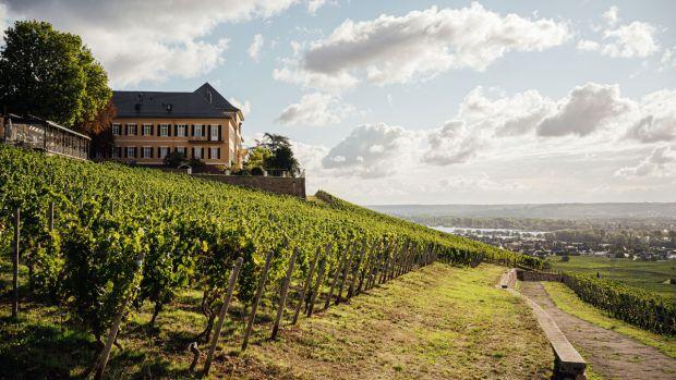 Schloss Johannisberg | The World's 50 Best Vineyards
