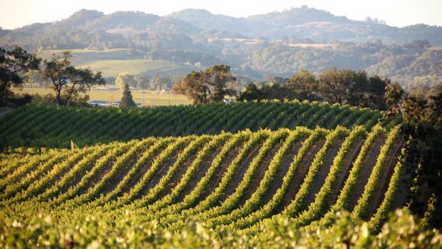 Jordan Vineyard & Winery| World's Best Vineyards 2022